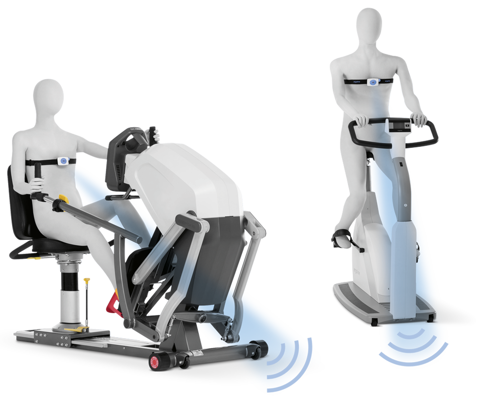 ers.2 system - ergoline GmbH